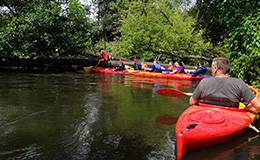 Kajaki - Wisła, Spływy kajakowe - Wypożyczalnia
